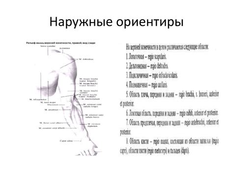 Топографическая анатомия и оперативная хирургия верхних конечностей