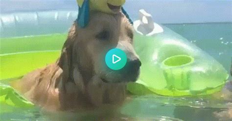 Just Floating  On Imgur