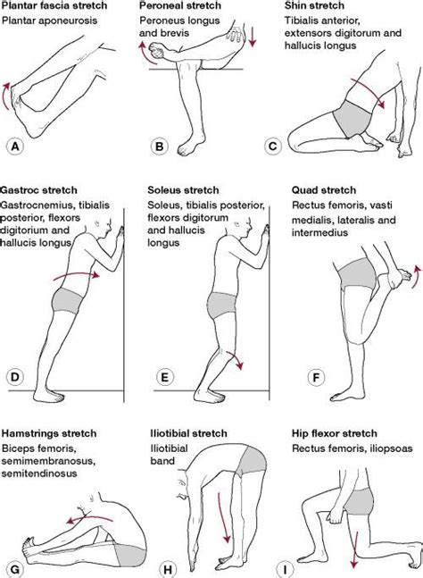 Muscle Strengthening Peroneal Muscle Strengthening Exercises