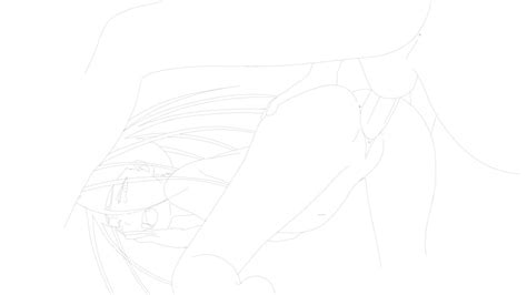 Rule 34 1cuntboy 2boys Androgynous Cum Cum In Pussy Cuntboy Cuntboy