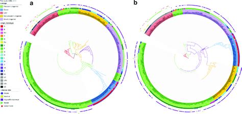 Interactive Phylogenetic Trees For Trprba A See Download Scientific Diagram
