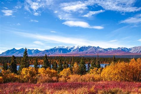 Top Reasons To Visit Alaska In The Fall Travel Alaska