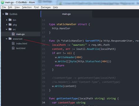 예제로 배우는 Go 프로그래밍 간단한 웹 서버 서버