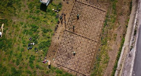 Il Progetto Nellagro Lanciata Una Delle Tre Tiny Forest Di Terna