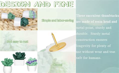 20 Pieces Cute Succulent Plants Decorative Push Pins
