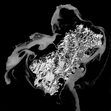 Macro Or Micro Test Your Sense Of Scale Science Smithsonian