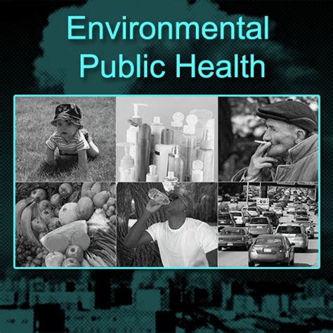 Environmental Health Issues