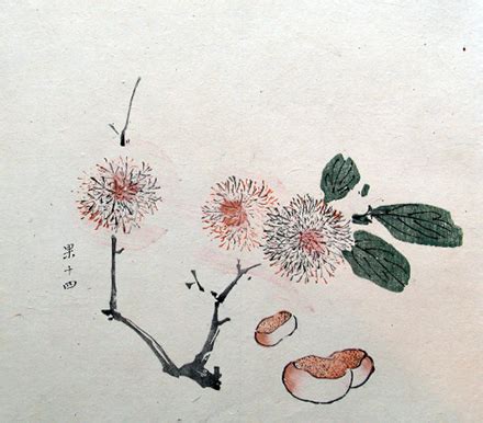 Huntington Acquires Rare Book Of 17th Century Chinese Woodblock Prints
