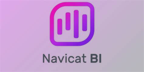 Navicat Bi V219 For Win And Macos Jun 2025