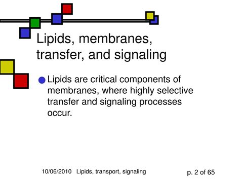 PPT Lipids Membranes Transport And Signaling PowerPoint Presentation ID