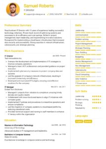 IT Director Resume Example For Tips To Stand Out CVDesigner Ai