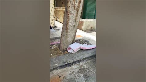 لقيت عم حسن بتاع الفول والطعميه Youtube