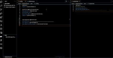 aws toolkit for vscodeからawsにアクセスしようとすると、「the security token included in the request is invalid