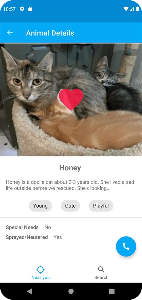 Real World Android By Tutorials Chapter 11 Animations Kodeco