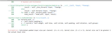 Input Size Different To 1x64x64x64 Throws Exception · Issue 11 · Shijianjianefficientnet