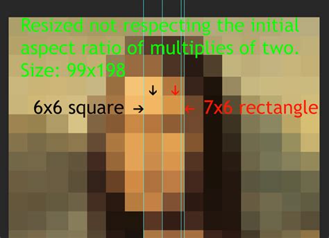 Reverse Nearest Neighbor Algorithm In Image Scaling In Photoshop