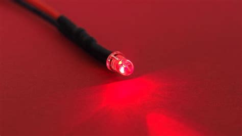 Do Led Lights Attract Bugs Information And Facts Pest Samurai