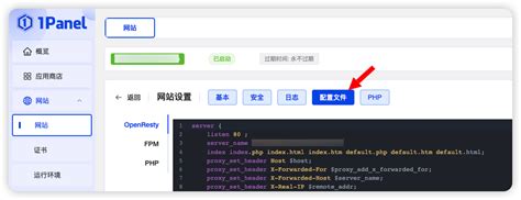 设置勾选了tls1 3，但没启用，还是tls1 2！ 1panel 社区论坛 fit2cloud 飞致云