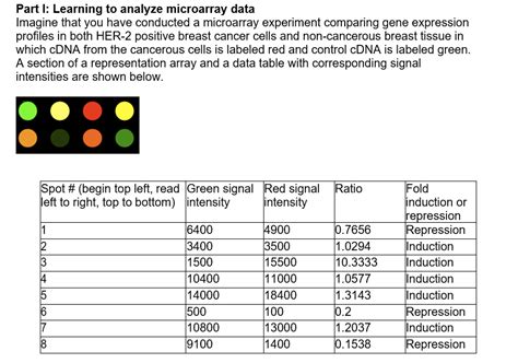 Solved Provide Your Interpretation Of Relative Levels Of Chegg Com