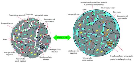 Schematic Diagram Of The Structural Evolution Of Modified Soil Under Download Scientific