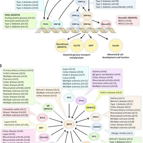 Common Disease Associated Variants Cluster In Regulatory Pathways A