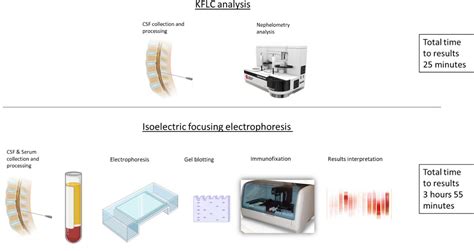 What Is Kappa Lt Chain At Taylah Cayley Blog