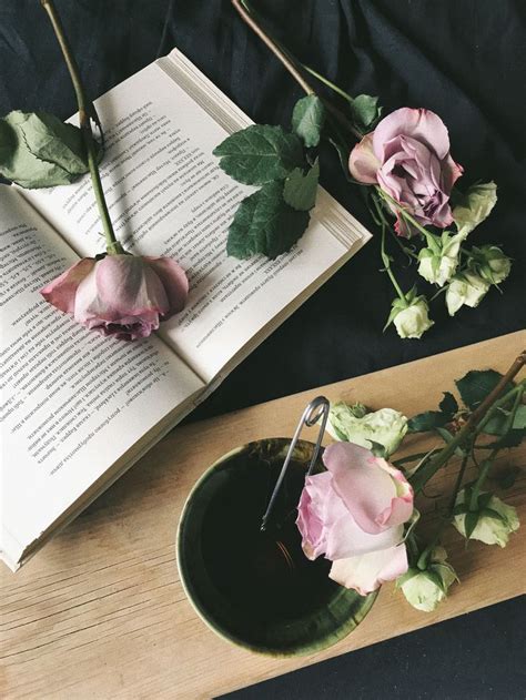 Fall 2018 Fall 2018 Fall Asthetic