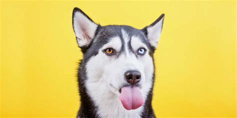 Sentiment Analysis Types Tools And Use Cases