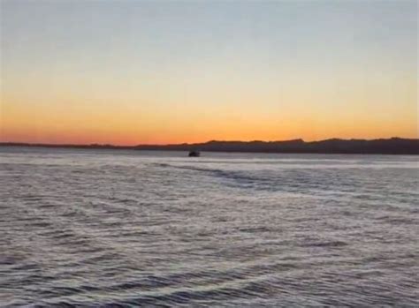 Крутий віраж удачі навесні для 5 знаків Зодіаку настане щасливий час змін Особлива