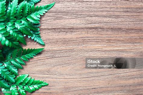 작업 공간 프레임 녹색 나뭇잎 나무 테이블 배경에서 펀 날짜 또는 특별 한 날을 저장 하는 데 적합 빈티지 열 대 스타일 텍스트