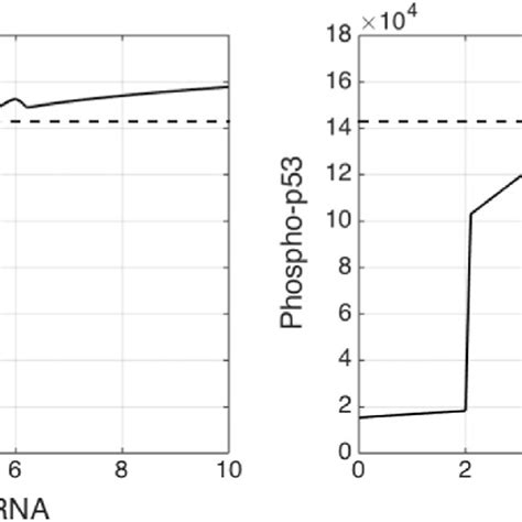 Determination Of The Optimal Sirna Dose To Restore Proper Response Of