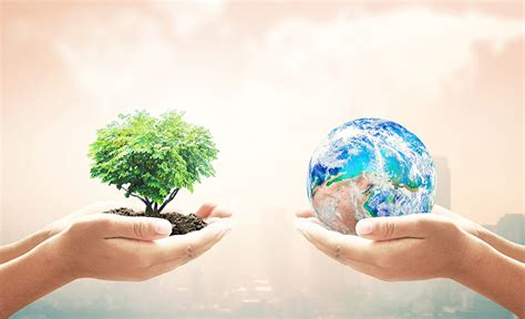 Journal Of Biodiversity Management And Forestry High Impact Factor Journal