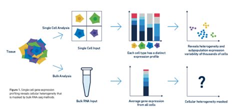 10x Genomics Blog 10x Genomics