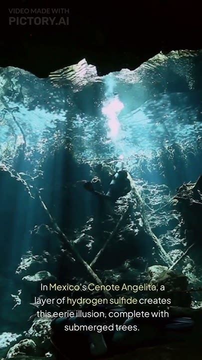 The Mysterious Underwater River In Mexicos Cenote Angelita