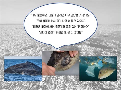 한림유치원 레지오프로젝트