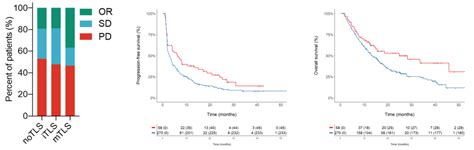 TLS Detection Scoring For Cancer Immunotherapy Explicyte Immuno Oncology
