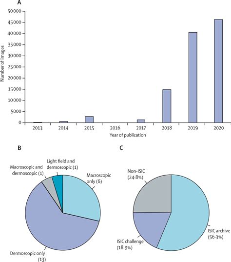 Skin Cancer Pie Chart