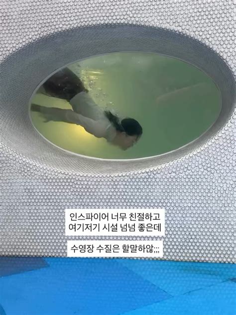 살림잼 최유미 오늘 저녁 새로운 컬러들 실물 보여드리기로 약속했는데 이사짐 푸르다 보니 시간이 너무 늦었네요 그래도 약속지키려고 12시는 넘었지만 나타났어요