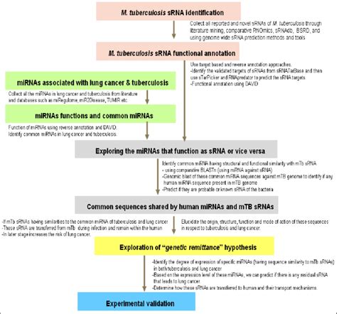 The Integrated Bioinformatics And Experimental Validation Strategy To Download Scientific