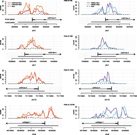 Dgw An Exploratory Data Analysis Tool For Clustering And Visualisation