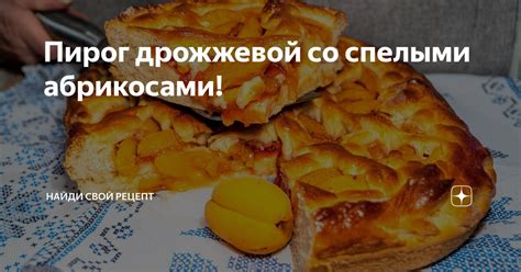 Пирог дрожжевой со спелыми абрикосами Сибирячка готовит Дзен