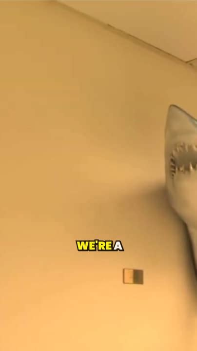 Papers With Backtest On Linkedin Investment Strategy Focused On