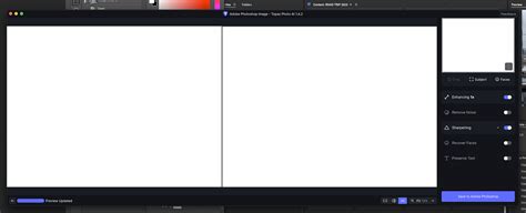 Photo Doesnt Appear In The In Any Of The Viewing Panes Ps 2023 And I