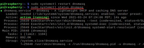Set Up Raspberry Pi Dns Server Step By Step Guide