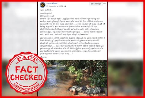 ලැව්ගිනි නිසා ඕස්ට්‍රේලියාවට සිදුවී ඇති පාරසරික විනාශය දක්වන ඡායාරූප සැබෑ ලෙසම මෙවර ඕස්ට්