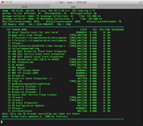 i code by the sea want to see how your karaf container is performing