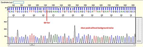 Faqs On Sanger Sequencing Services 1st Base