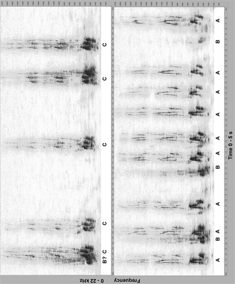 Spectrogram Of Chirps Of A Male Sparrow Advertising On A Roof Time Download Scientific
