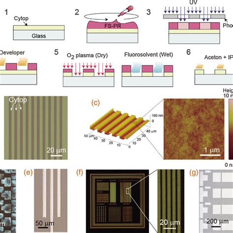 A Schematic Of The Patterning Process Flow On Top Of Cytop Layer On