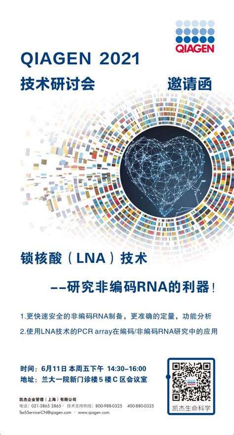 Lna Rna